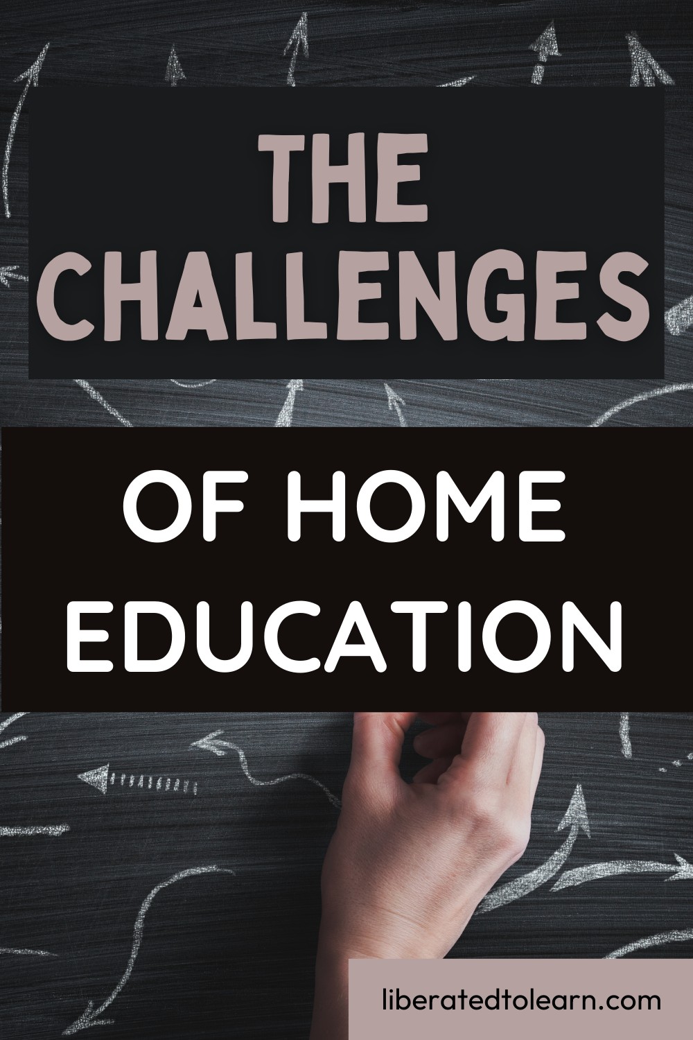 Beginner's Guide to Home Education: 2025 - Liberated to Learn