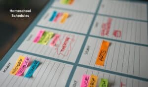 How to Create the Best Homeschool Schedule - Liberated to Learn