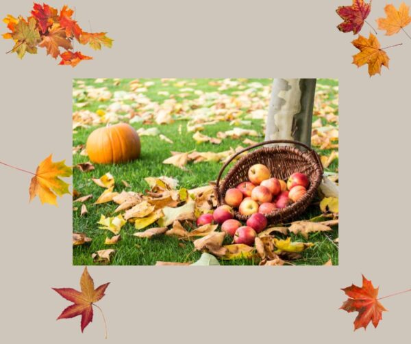 Autumn-Inspired Homeschool Activities (By Subject) - Liberated to Learn