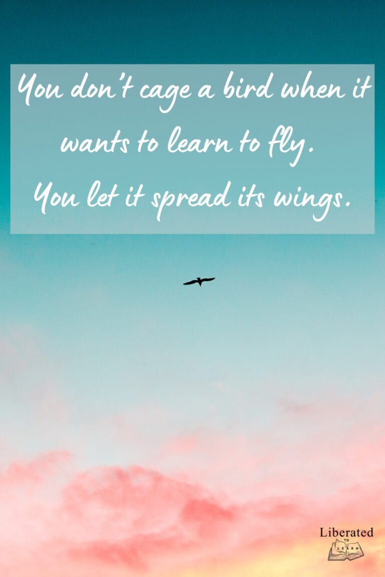 20 Beautiful Unschooling Quotes That Will Inspire You - Liberated to Learn