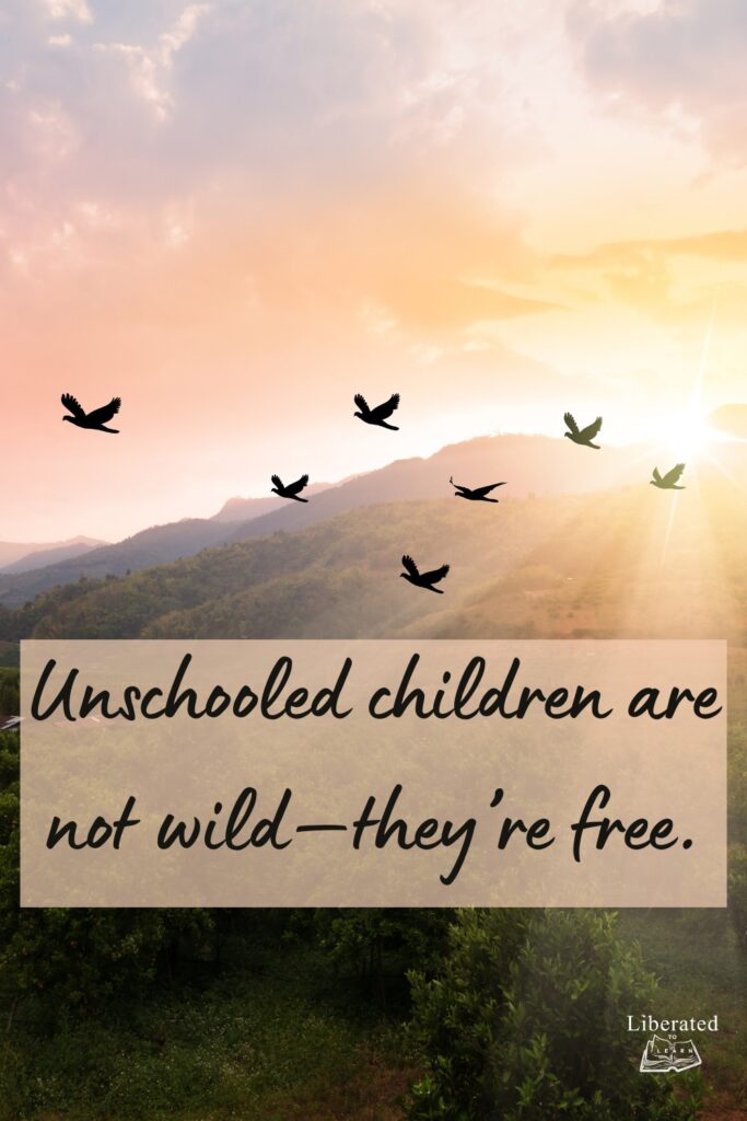 20 Beautiful Unschooling Quotes That Will Inspire You - Liberated to Learn