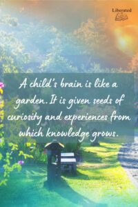 20 Beautiful Unschooling Quotes That Will Inspire You - Liberated to Learn