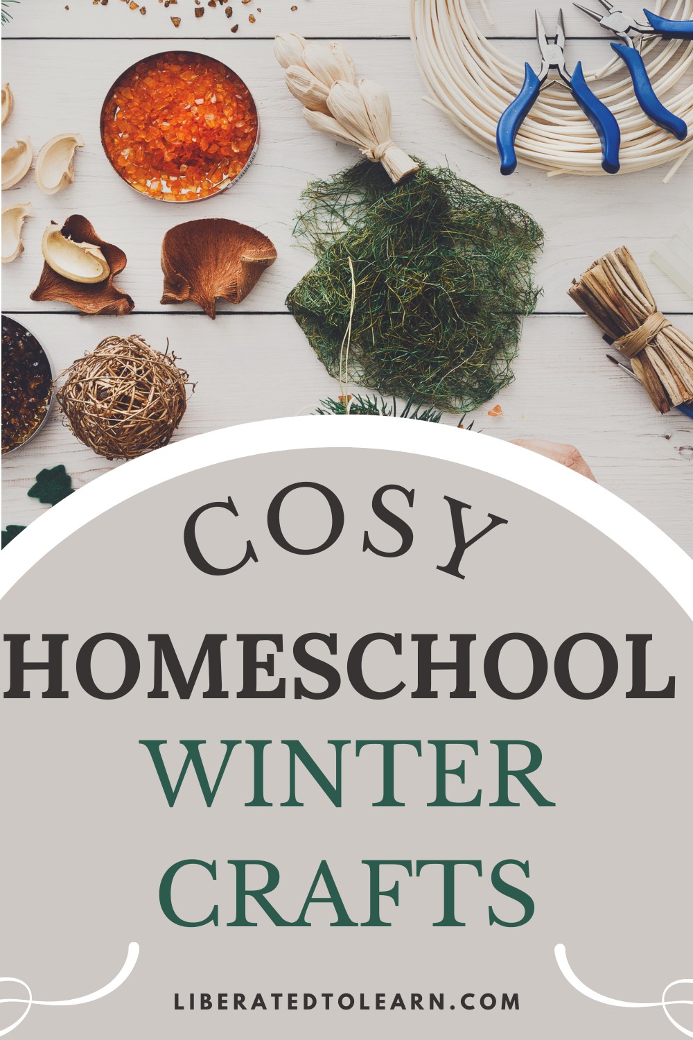 Winter Homeschool Activities & Ideas - Liberated to Learn