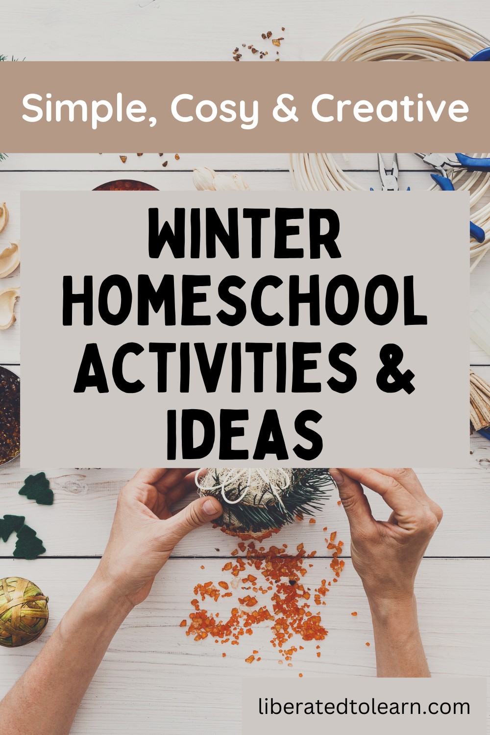 Winter Homeschool Activities & Ideas - Liberated to Learn