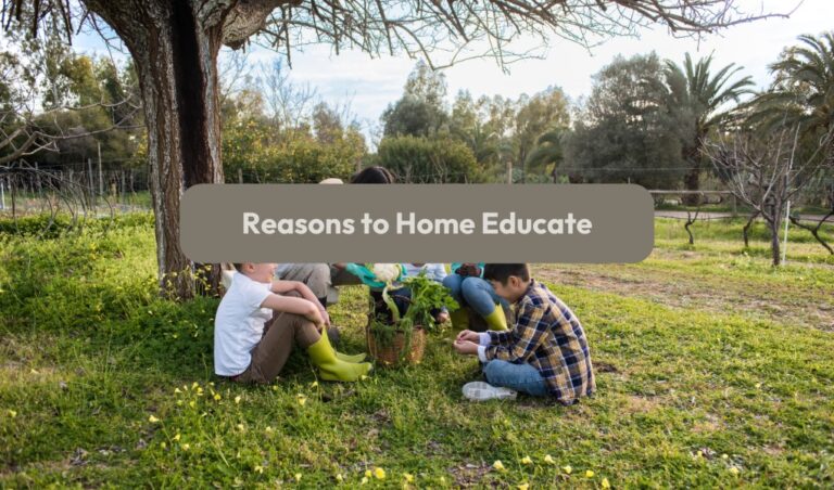 11 Alternatives to a Homeschool Room - Liberated to Learn