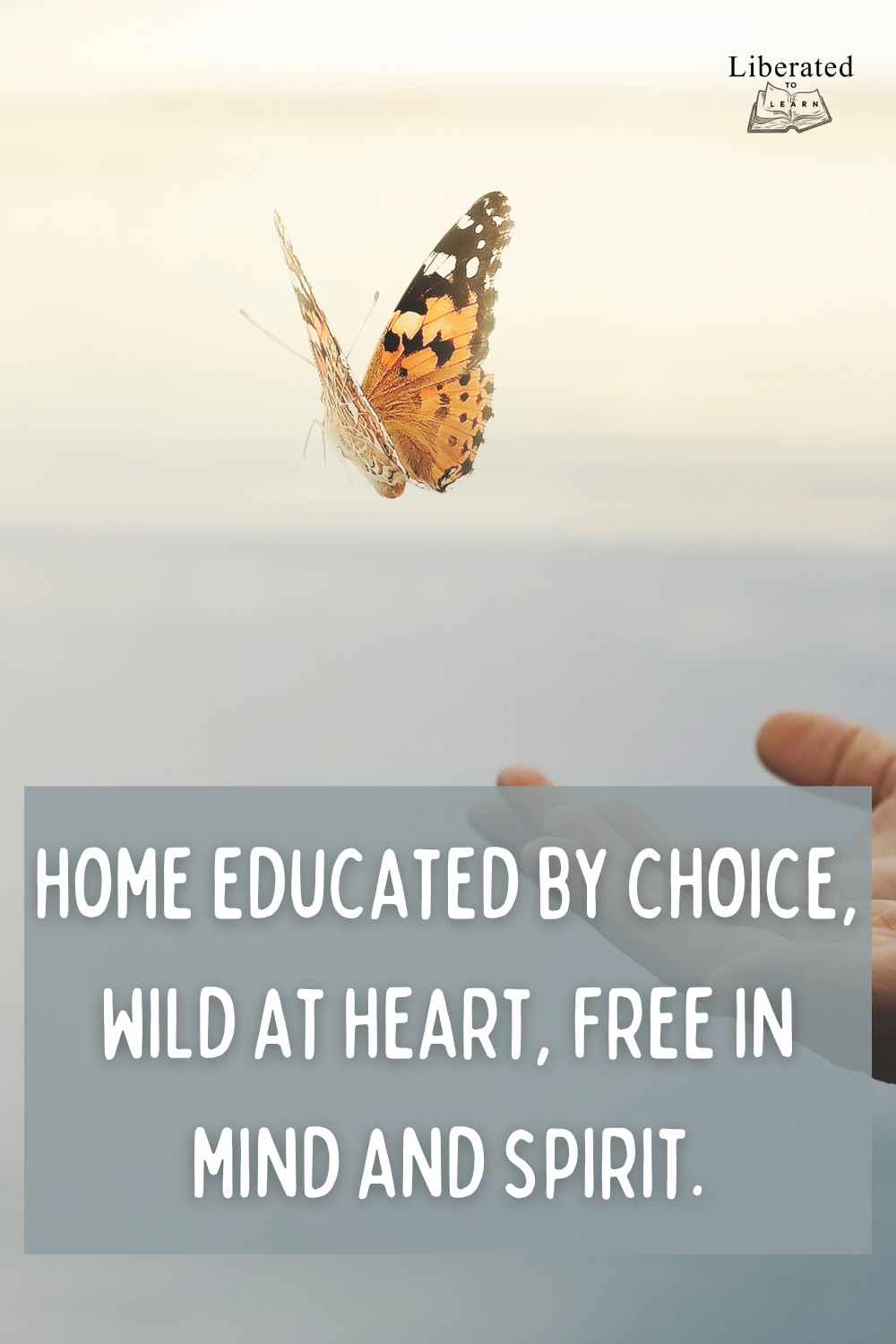 Home Education Quotes for Kids - Liberated to Learn