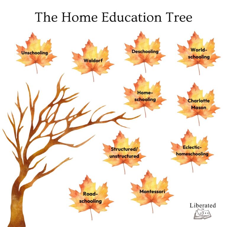 Home - Liberated to Learn