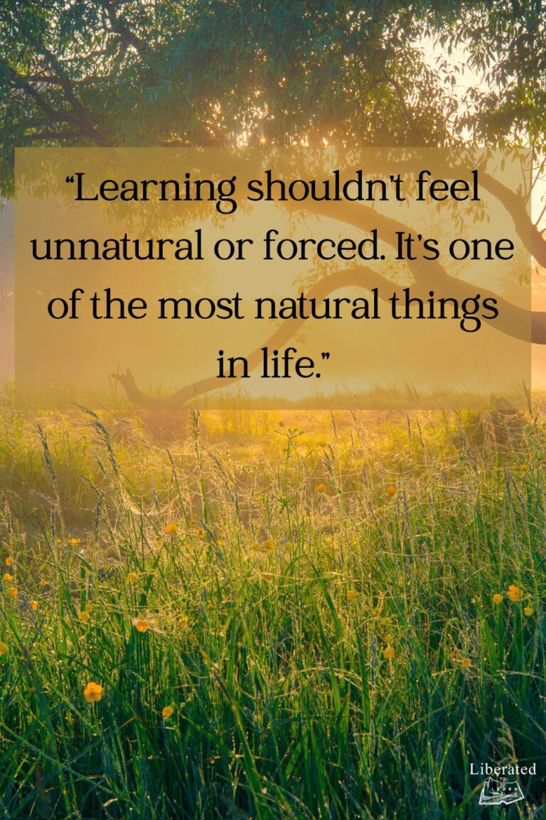 30 Encouraging and Inspiring Home Education Quotes