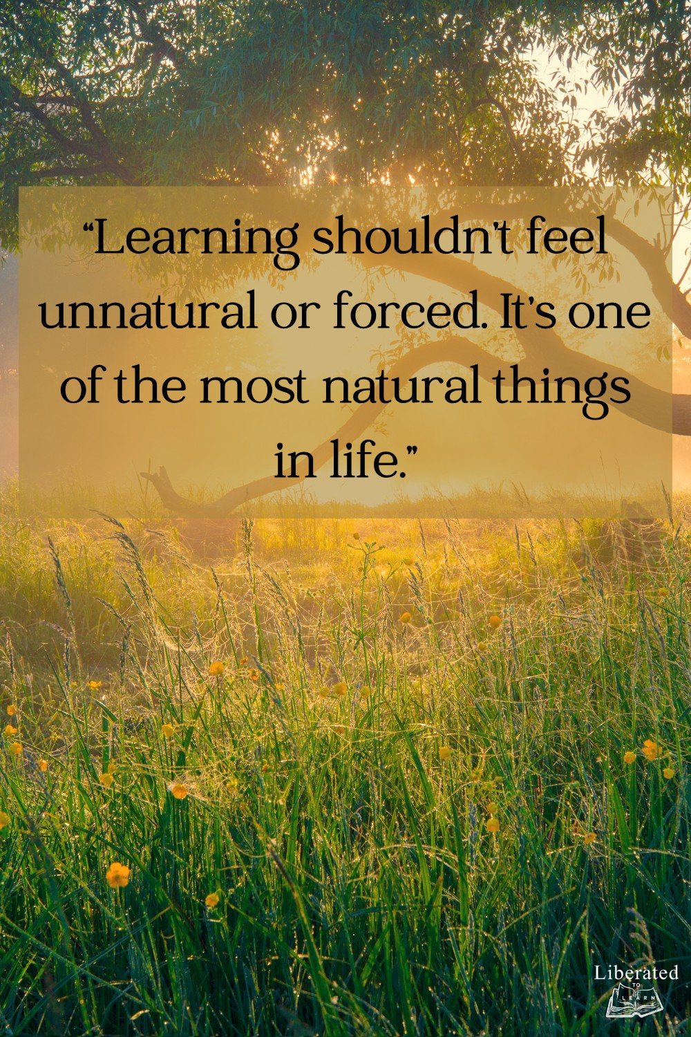 30 Encouraging and Inspiring Home Education Quotes