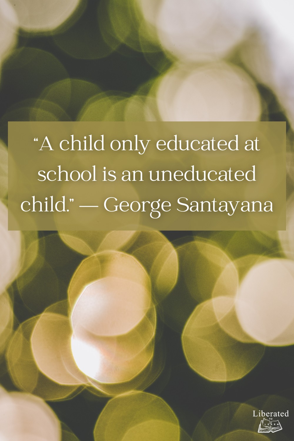 30 Encouraging and Inspiring Home Education Quotes