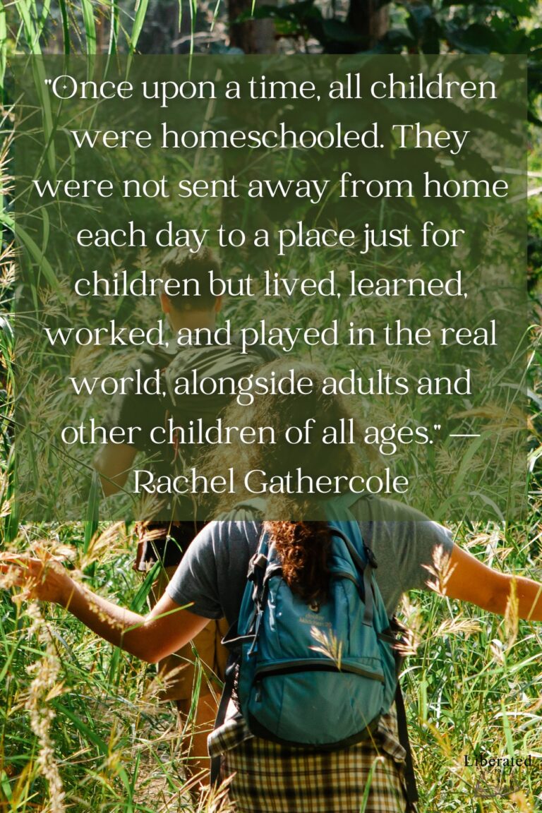 30 Encouraging and Inspiring Home Education Quotes