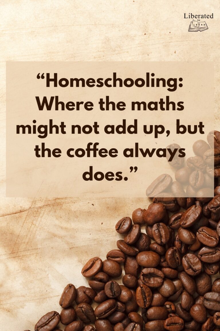Funny Homeschool Quotes to Make You Smile