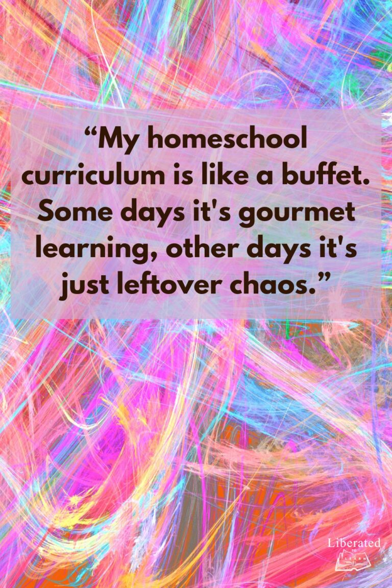 Funny Homeschool Quotes to Make You Smile
