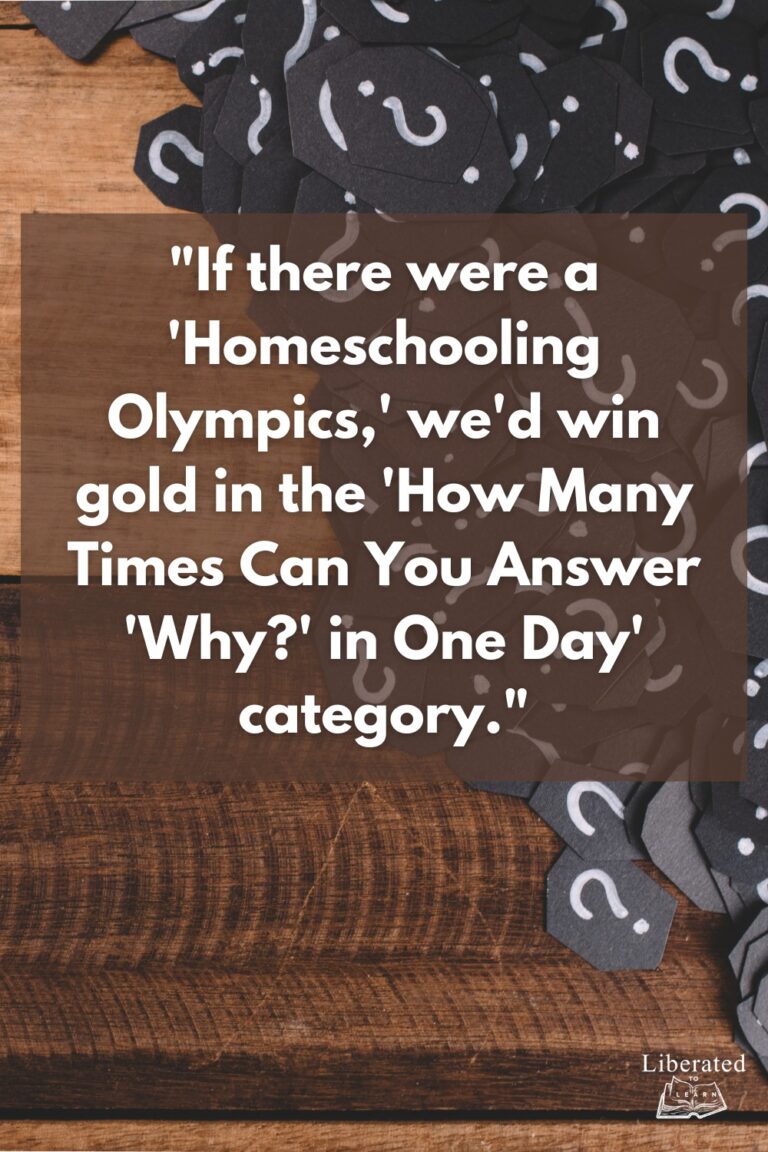 Funny Homeschool Quotes to Make You Smile
