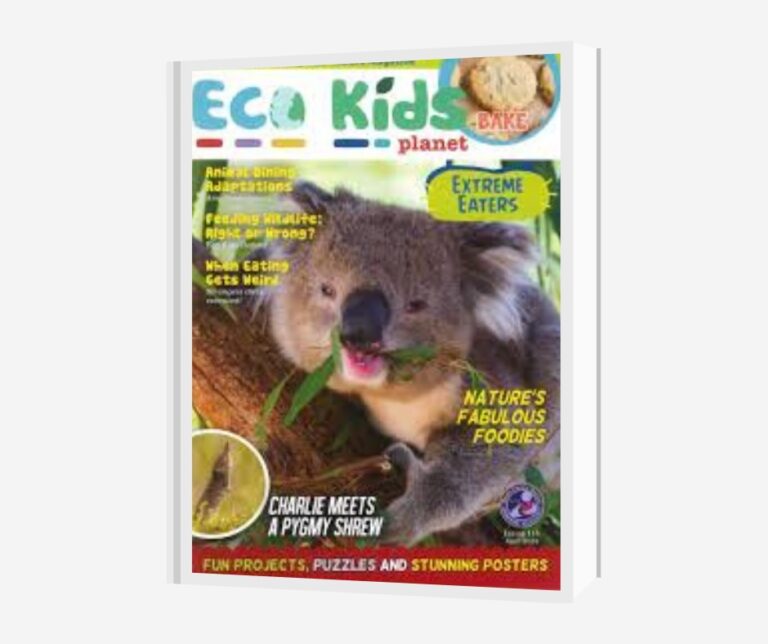 Best Educational Magazines for Homeschooled Kids