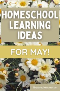 May Homeschool Learning Ideas: Checklist 2025